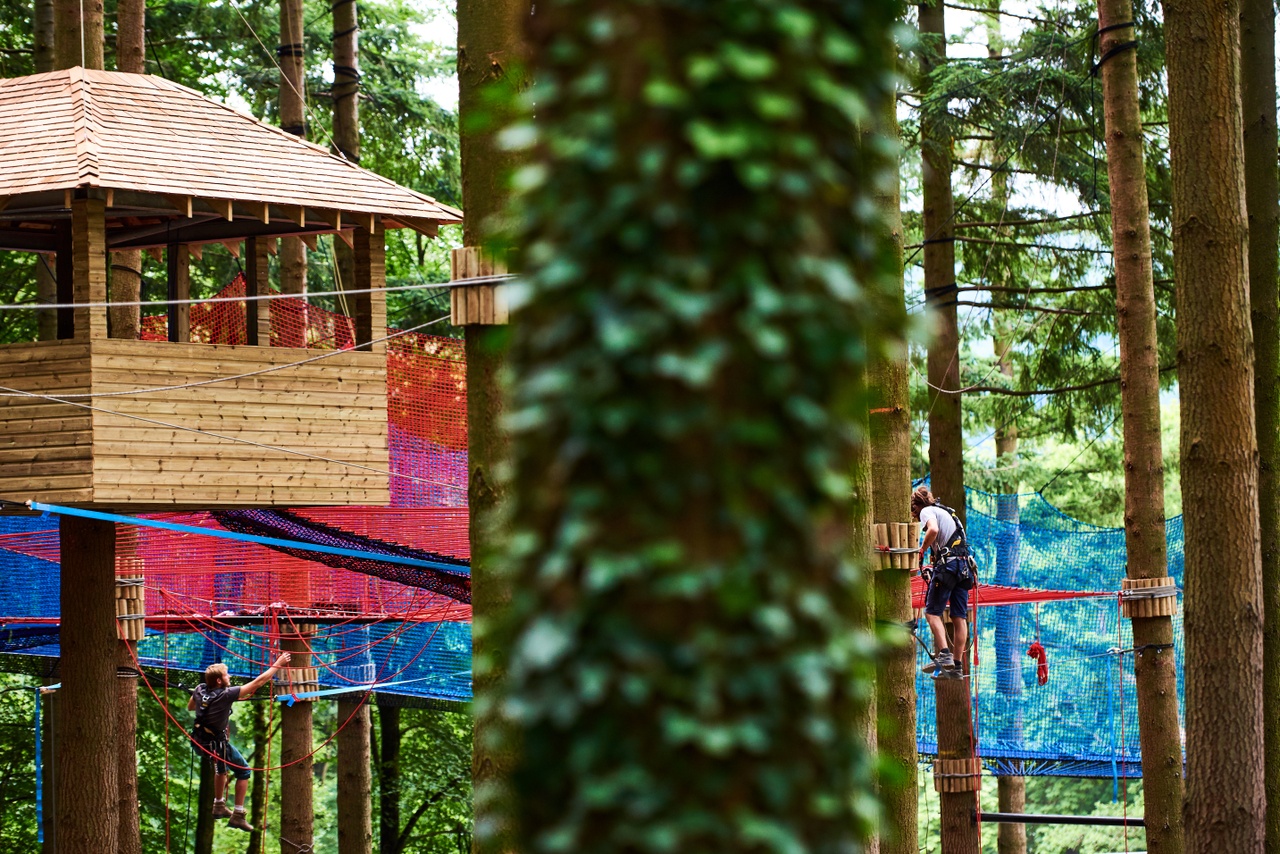Tree Tops Trail - West Wales Holiday Cottages