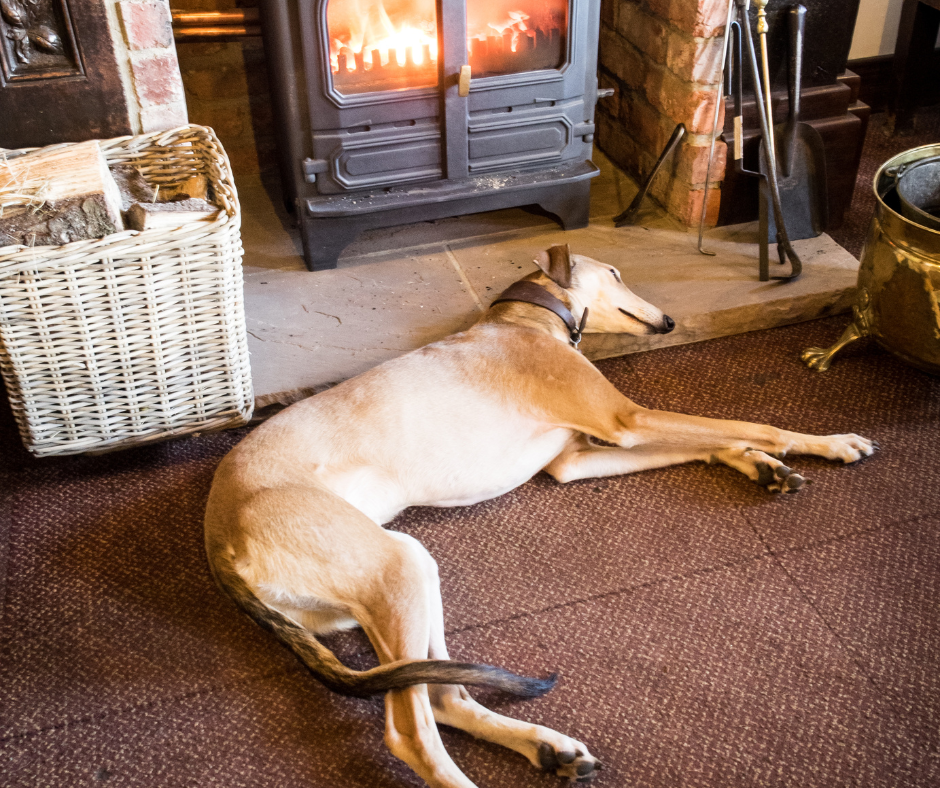 Dog Friendly Holiday Cottages in Solva - West Wales Holiday Cottages