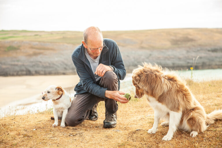 Best Dog Friendly Pubs in Pembrokeshire - West Wales Holiday Cottages